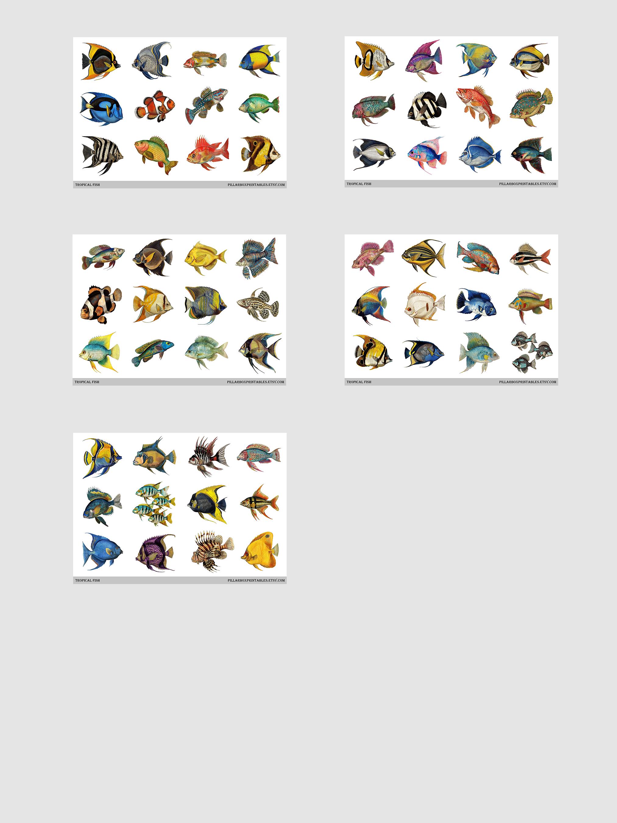 Tropical Fish Fussy Cut Printable Pages // 60 Vintage Inspired Image ...