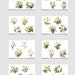 White and Cream Flowers Printable Pages // 60 Vintage Inspired Fussy ...