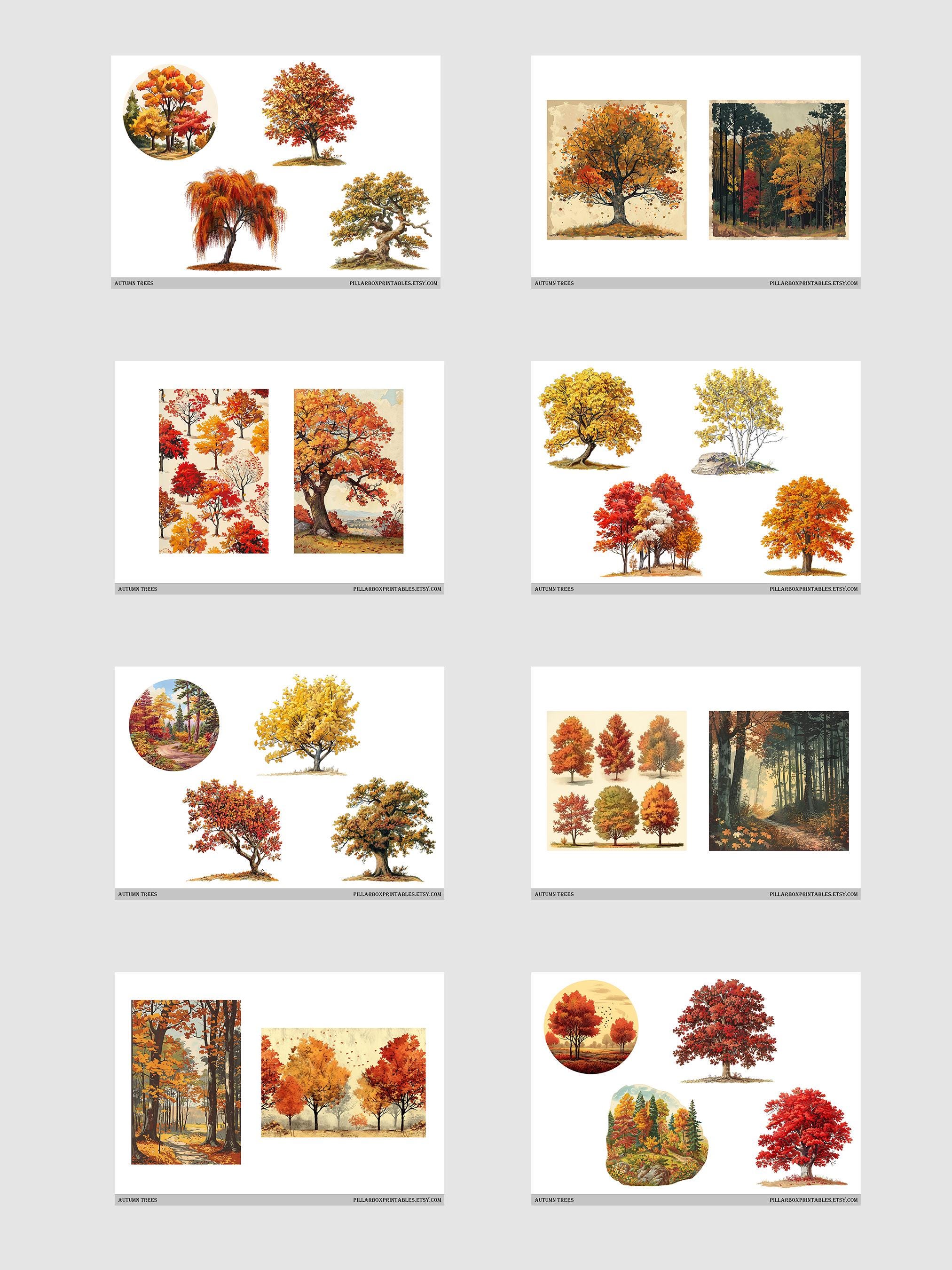 Autumn Trees Fussy Cut Printable Pages // 60 Clip Art Images // JPEG ...