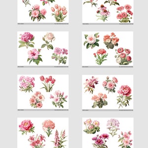 Pink Flowers Fussy Cut Printable Pages // 60 Vintage Inspired Images ...