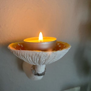 Set of 3 Mushroom Fungi Wall Shelf Polypore Wall Decor Nature Art ...