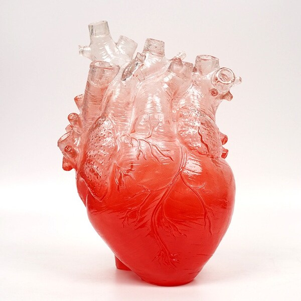 Anatomical Heart Vase - Etsy