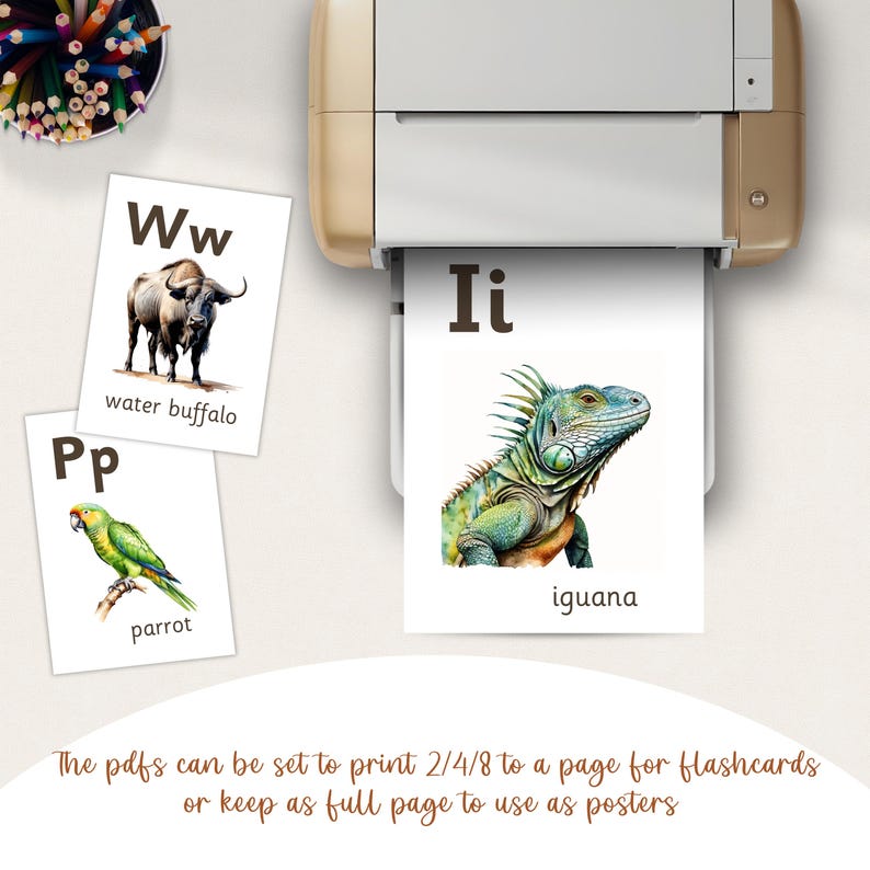 Jungle Animals Alphabet Posters, Animal Print & Plain Versions, A-Z ...