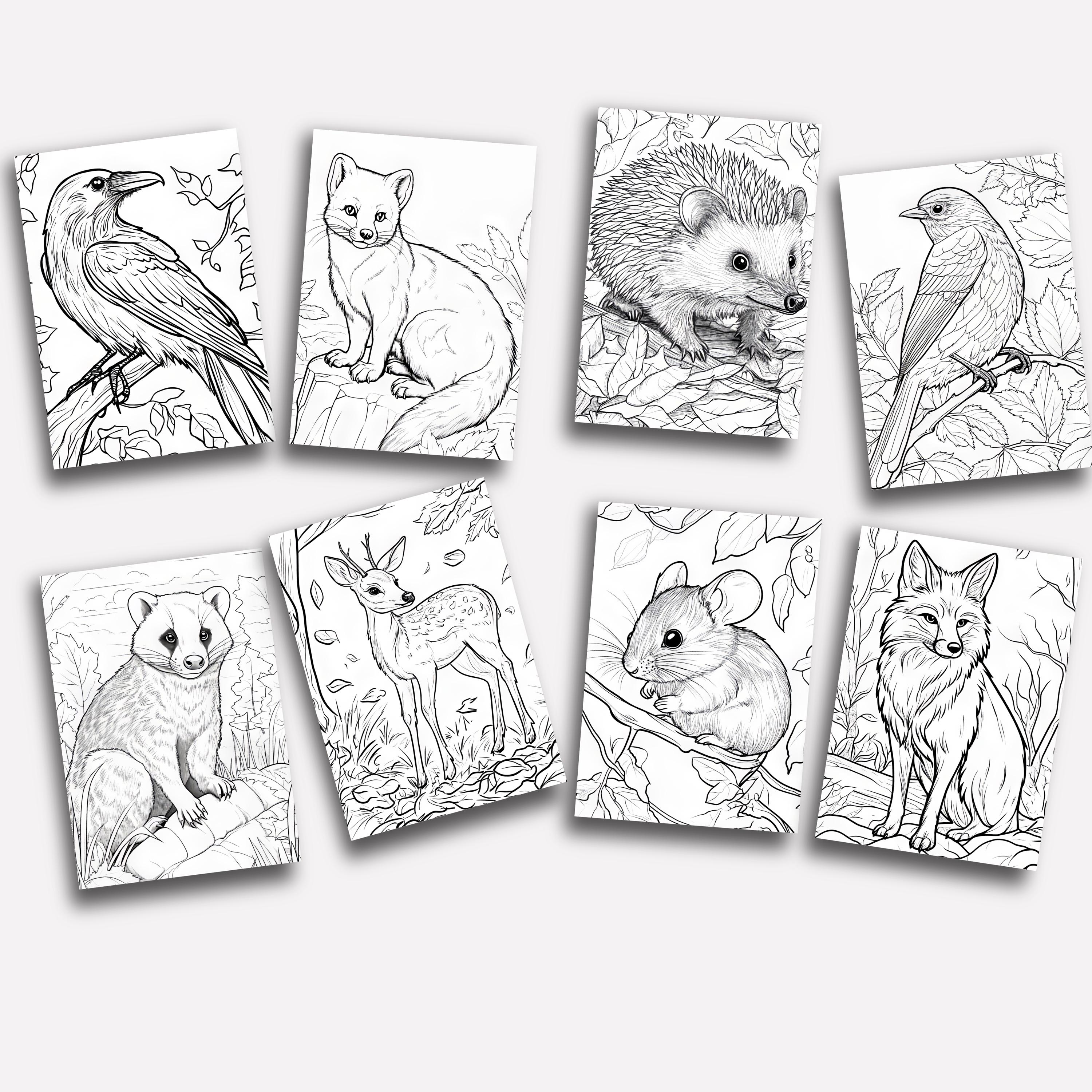 Autumn Animals Coloring Pages for Kids Fall Autumn Coloring Pages ...