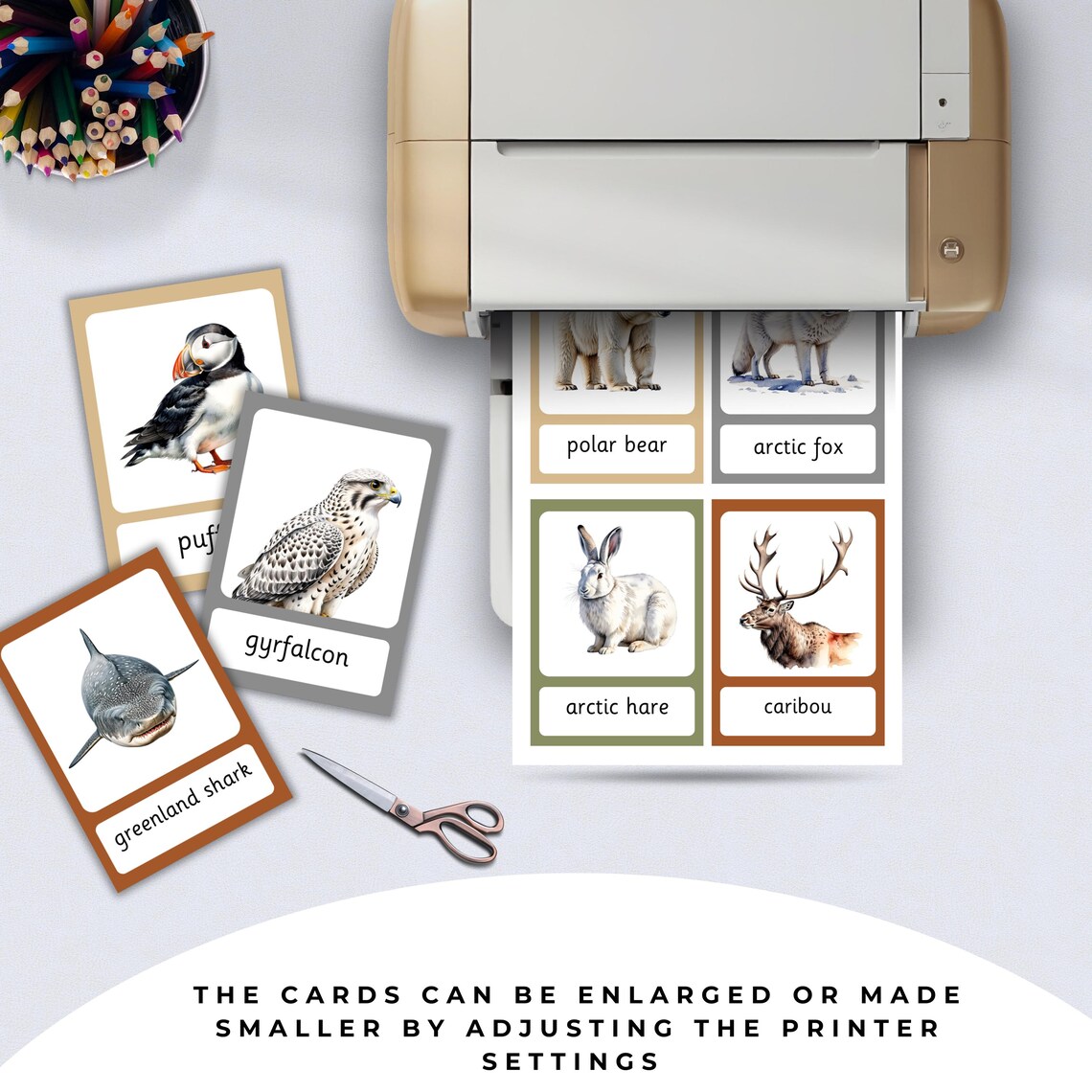 Arctic Animals Flashcards, Watercolor Animal Flash Cards, Educational ...
