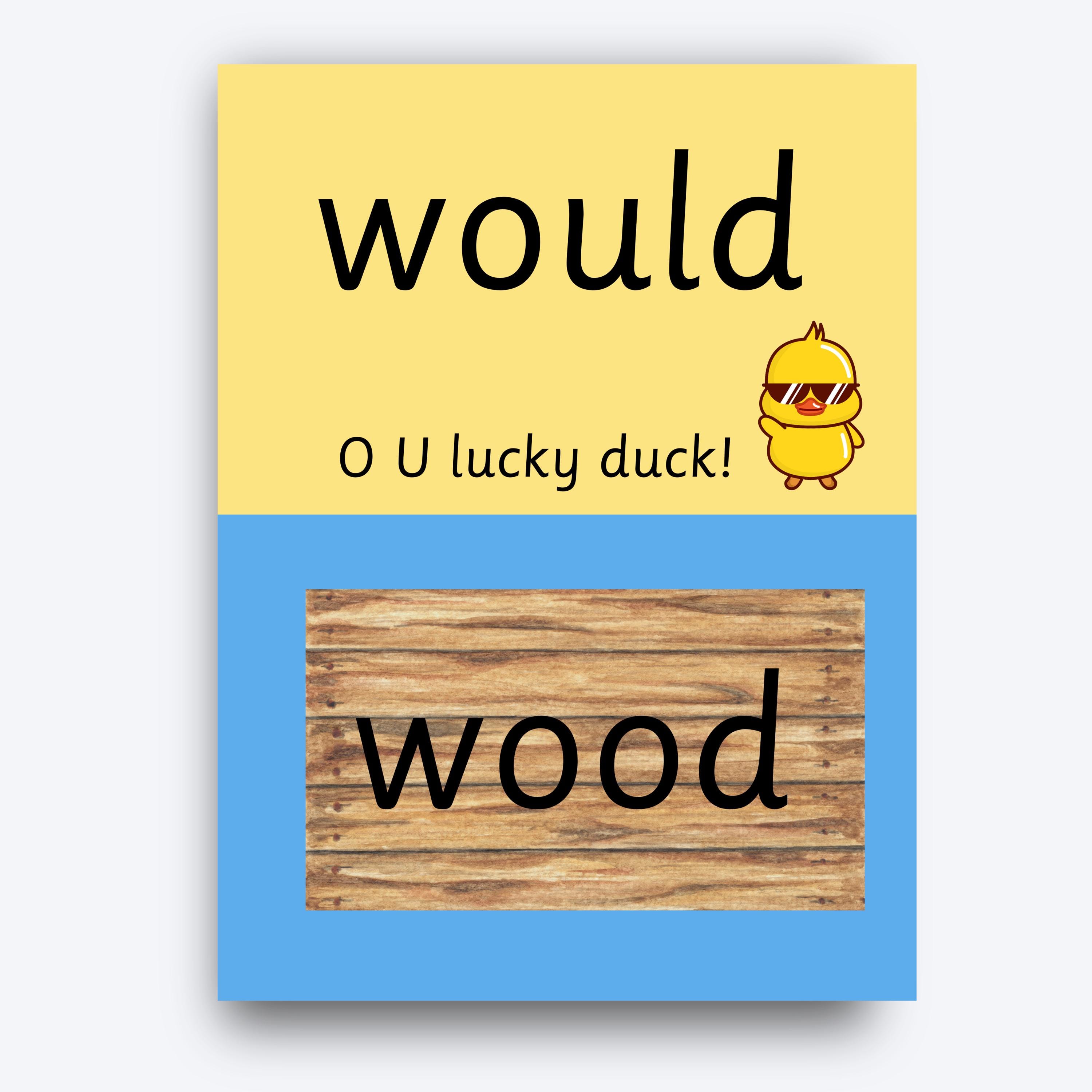 Homophones Classroom Posters, Homophones Posters, Classroom Decor ...