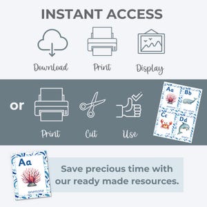 Ocean Animals Alphabet Posters, A - Z Printable Flashcards, Classroom ...