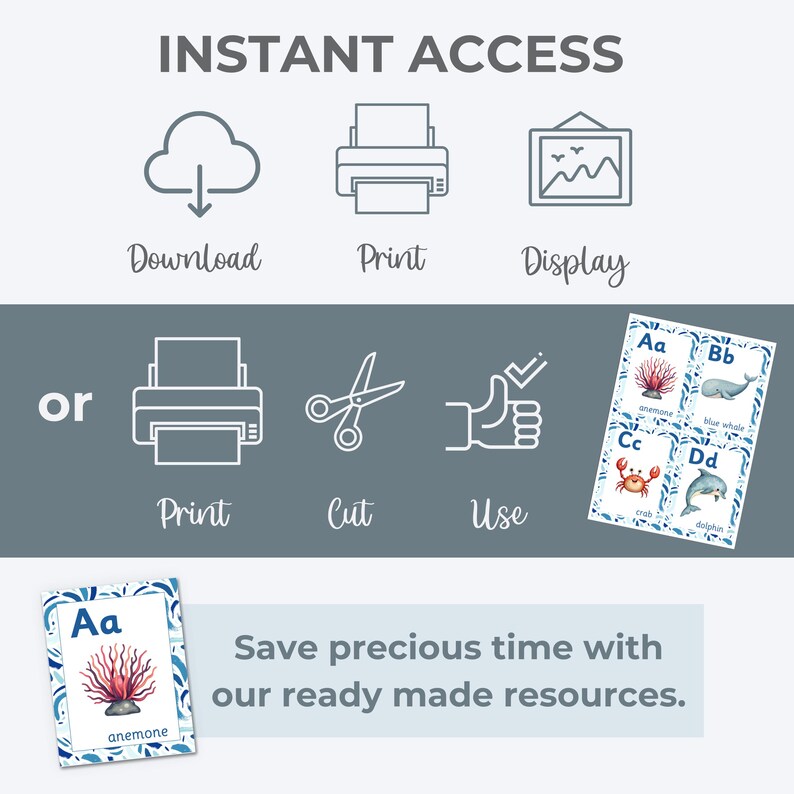 Ocean Animals Alphabet Posters, A - Z Printable Flashcards, Classroom ...