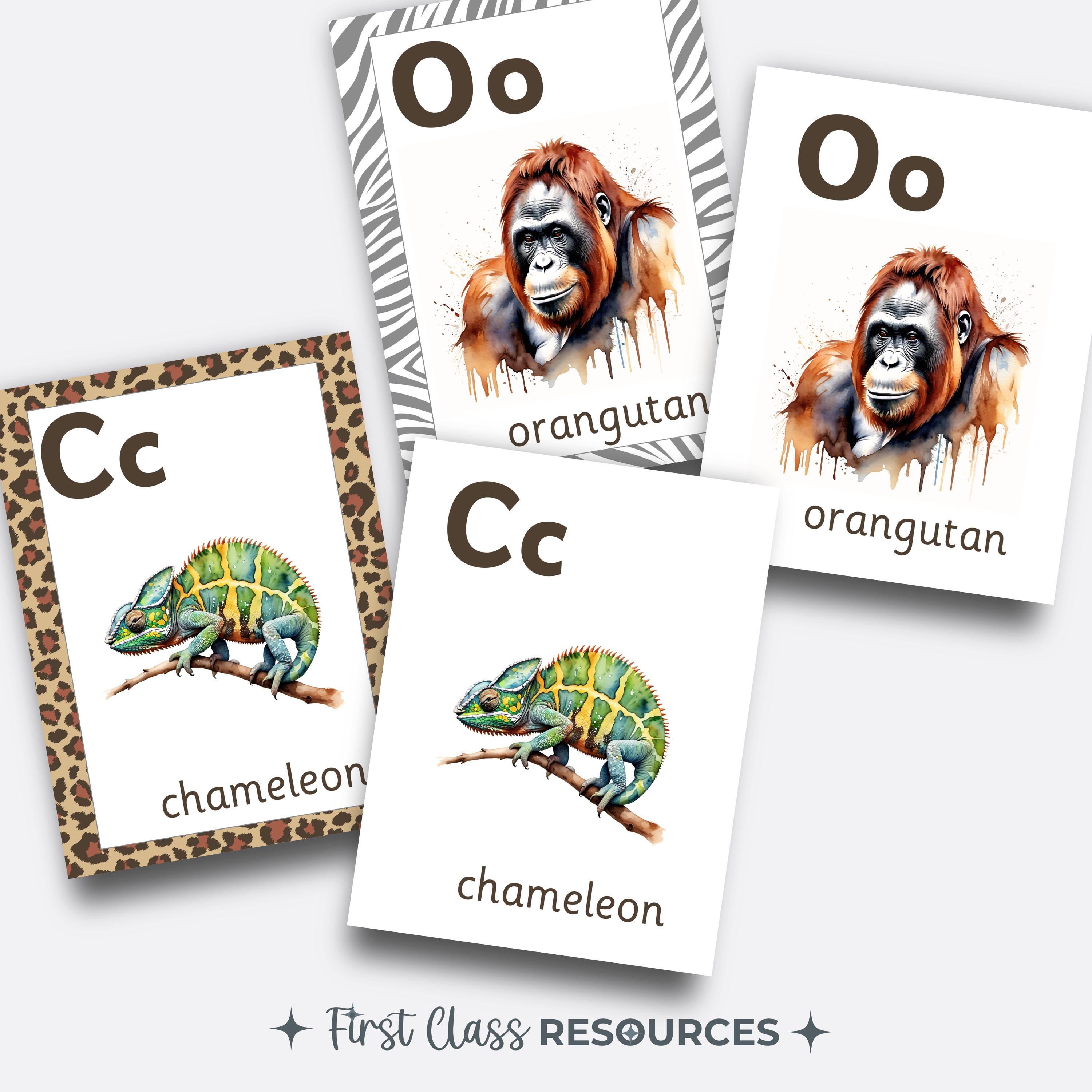 Jungle Animals Alphabet Posters, Animal Print & Plain Versions, A-Z ...