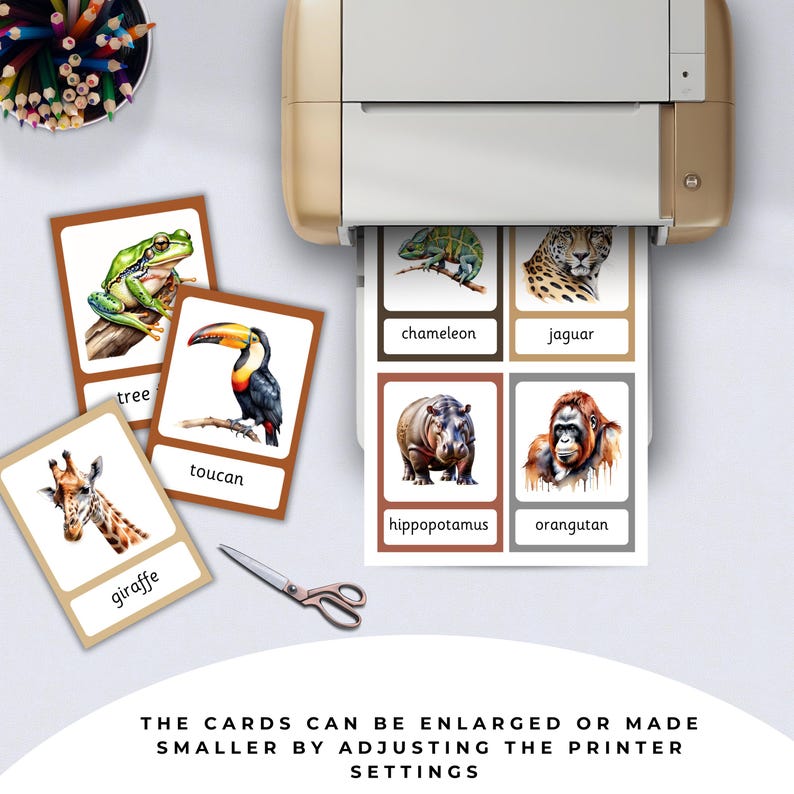 Jungle Animals Flashcards, Safari Animal Learning Cards, Preschool ...