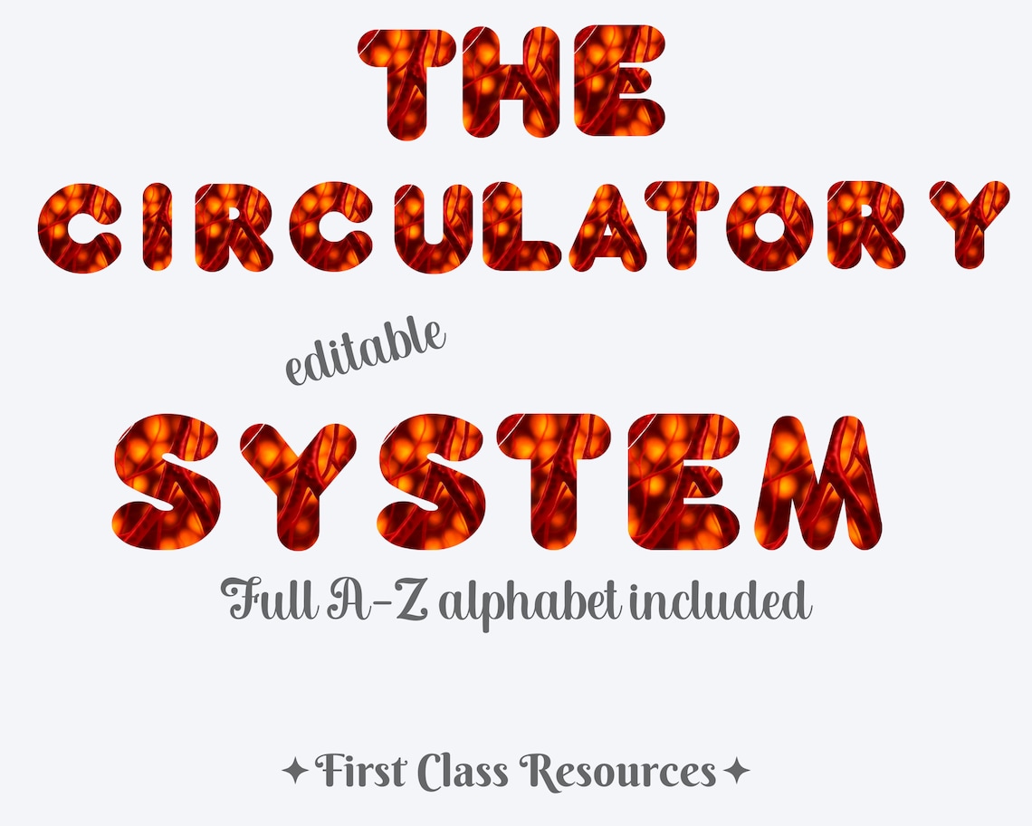 Circulatory System Classroom Display Lettering, Classroom Decor ...