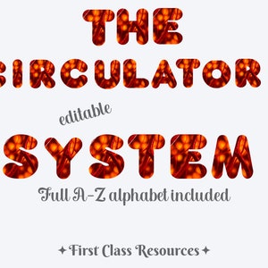 Circulatory System Classroom Display Lettering, Classroom Decor ...