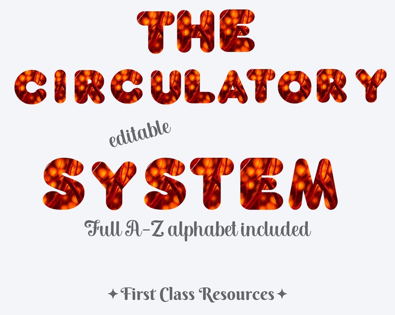 Circulatory System Classroom Display Lettering, Classroom Decor ...