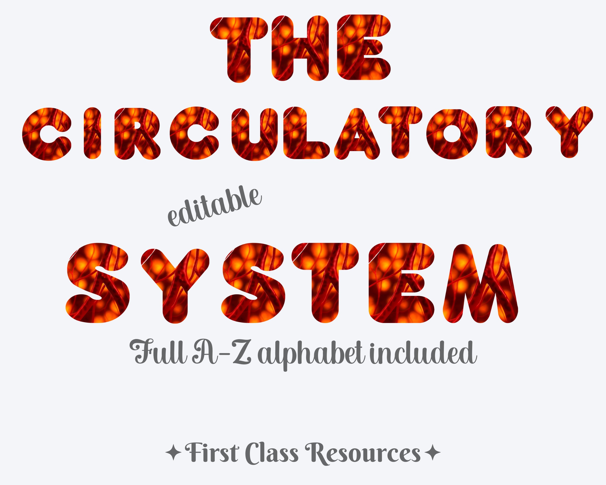 Circulatory System Classroom Display Lettering, Classroom Decor ...