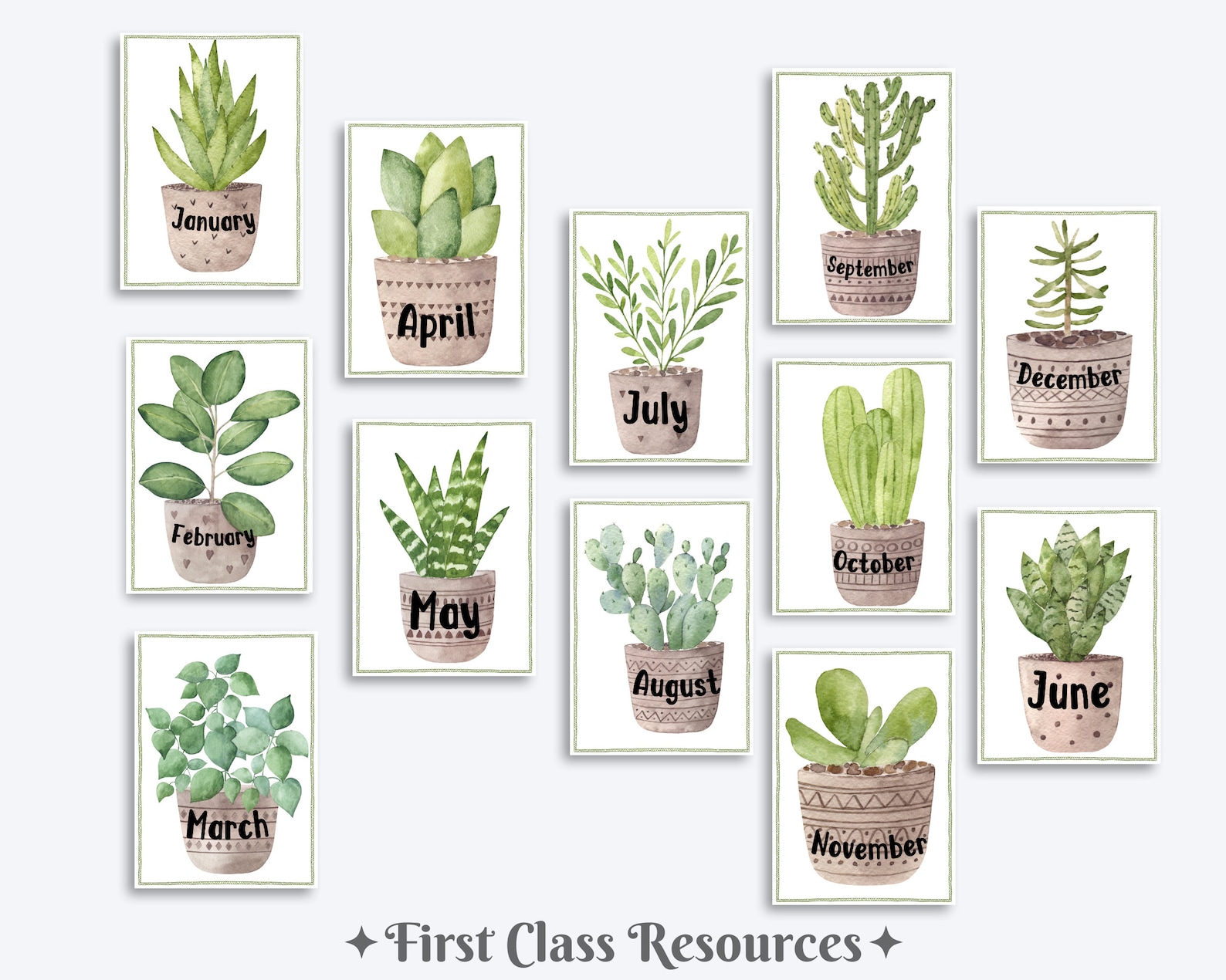 Birthday Display Plants and Foliage, Celebration Classroom Display ...