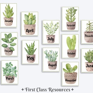 Birthday Display Plants and Foliage, Celebration Classroom Display ...