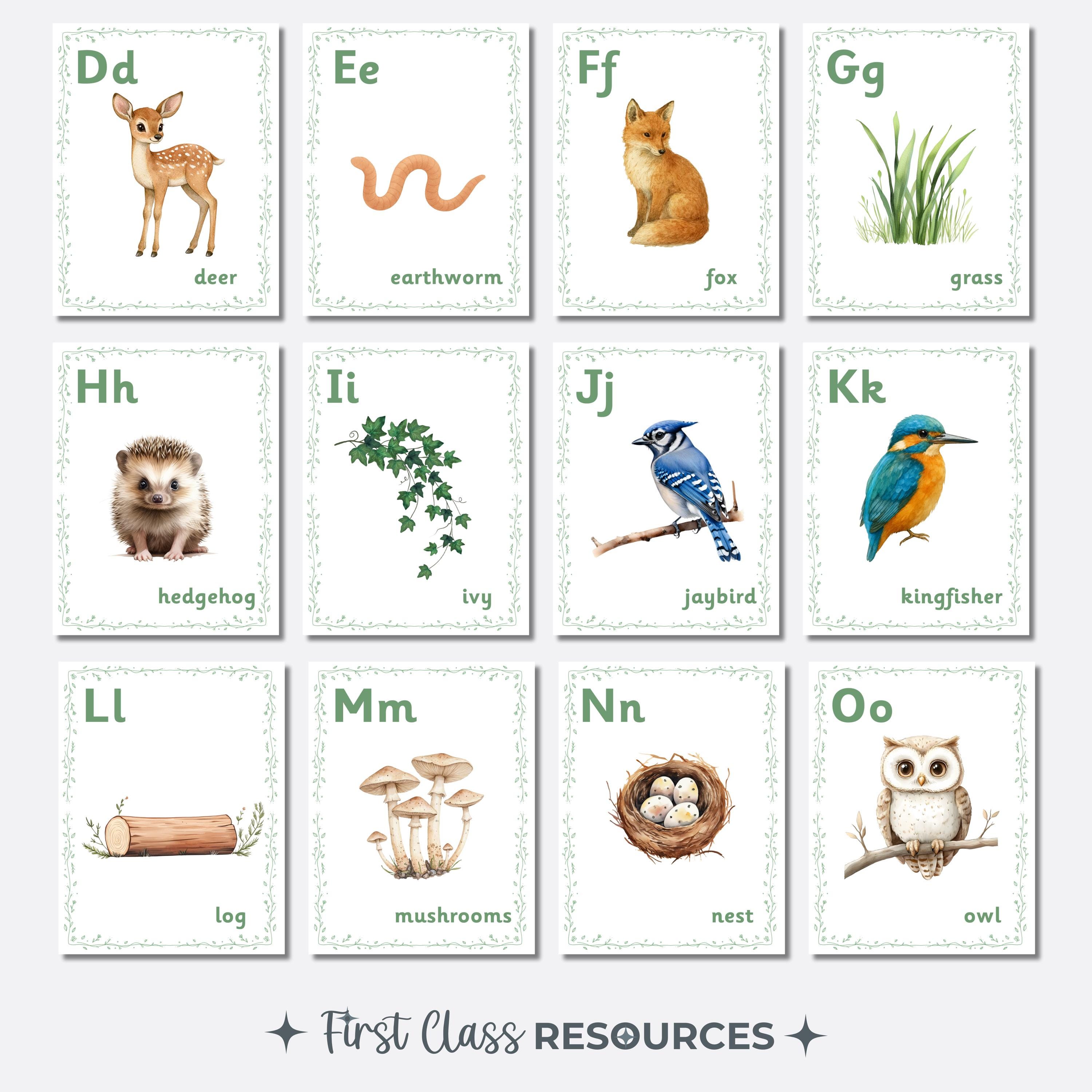 Woodland Alphabet Printable Posters, Nature Alphabet Flashcards, Nature ...