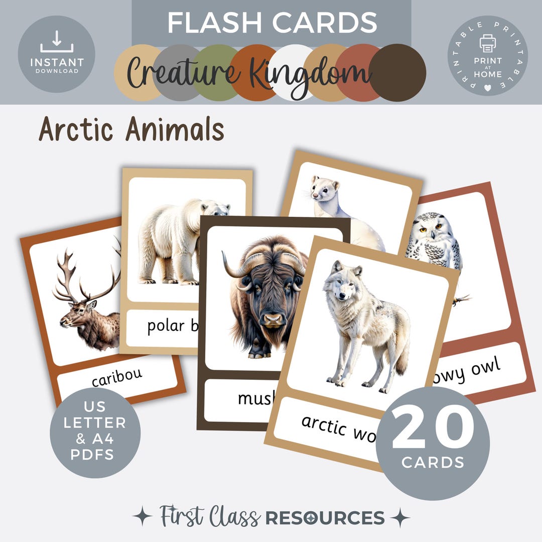 Arctic Animals Flashcards, Watercolor Animal Flash Cards, Educational ...