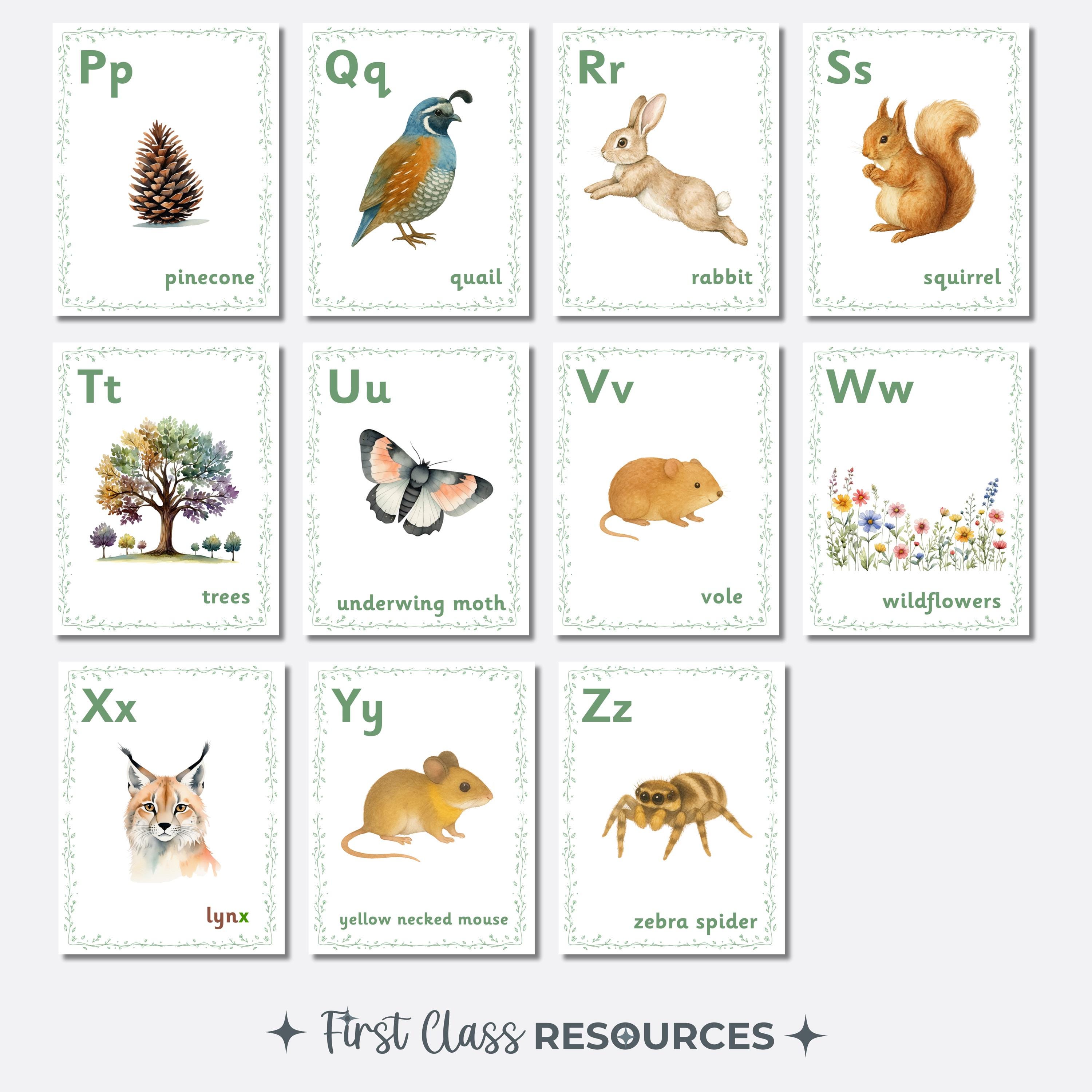 Woodland Alphabet Printable Posters, Nature Alphabet Flashcards, Nature ...