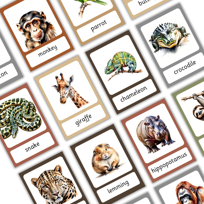 Jungle Animals Flashcards, Safari Animal Learning Cards, Preschool ...
