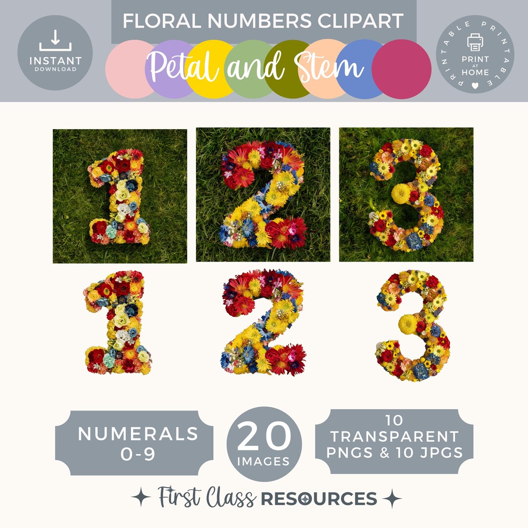 Natural Numbers for Classroom, Nature Flower Cards 0 to 9, Outdoor ...
