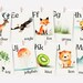 Nature Themed Alphabet Cards, Alphabet Posters Classroom Decor ...