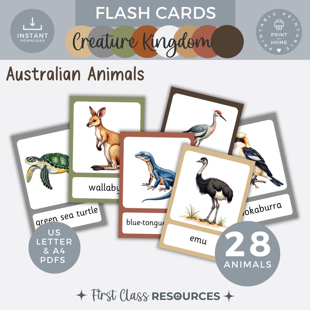 Australia Animal Flashcard, Wildlife Learning Cards for Kids, Classroom ...