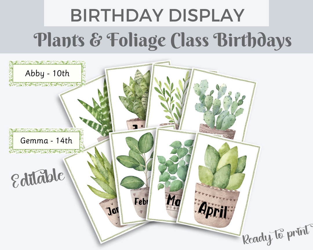 Birthday Display Plants and Foliage, Celebration Classroom Display ...