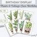 Birthday Display Plants and Foliage, Celebration Classroom Display ...