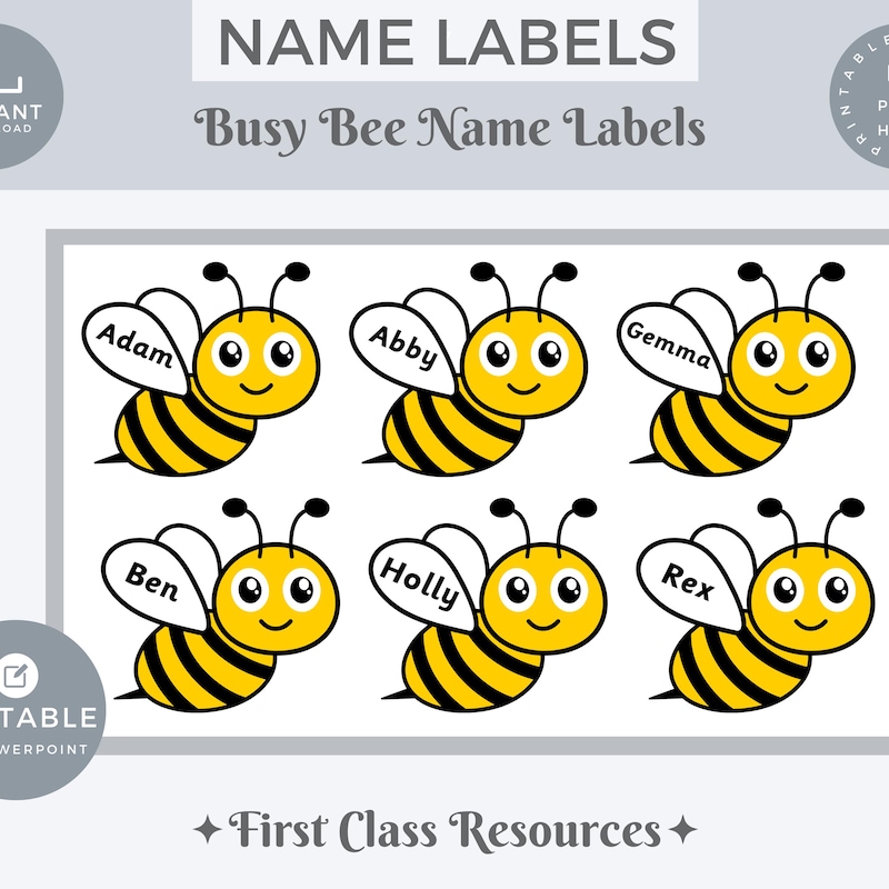 Bee Classroom Decor - Etsy