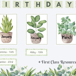 Birthday Display Plants and Foliage, Celebration Classroom Display ...