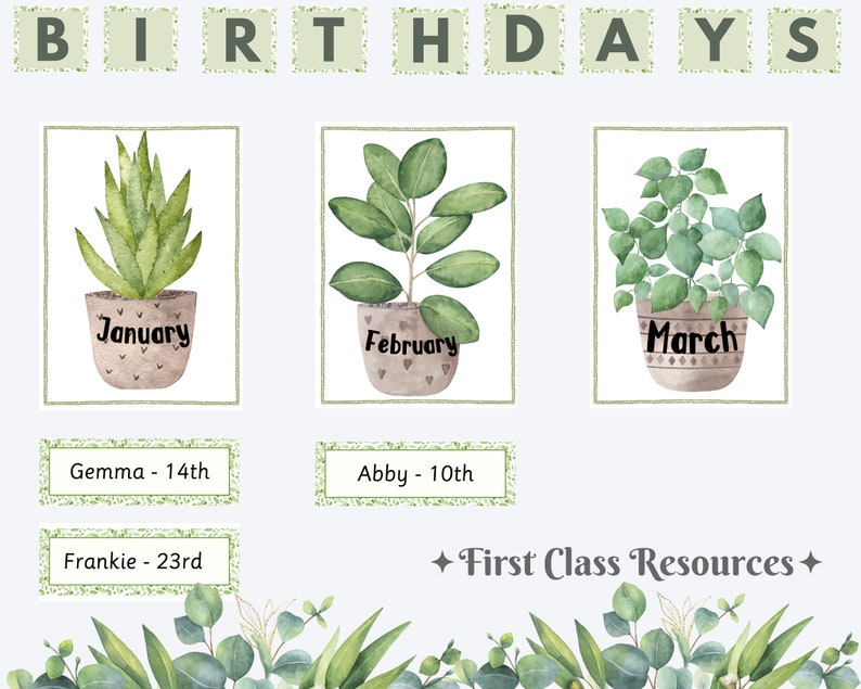 Birthday Display Plants and Foliage, Celebration Classroom Display ...