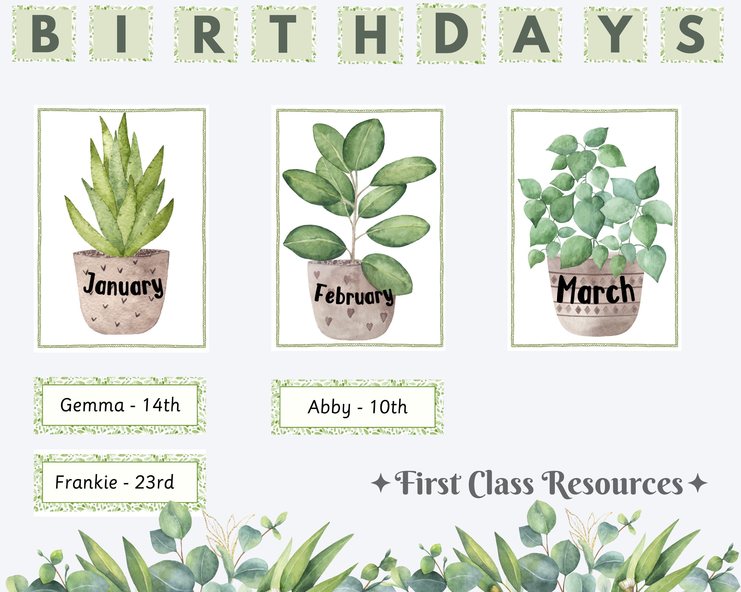 Birthday Display Plants and Foliage, Celebration Classroom Display ...