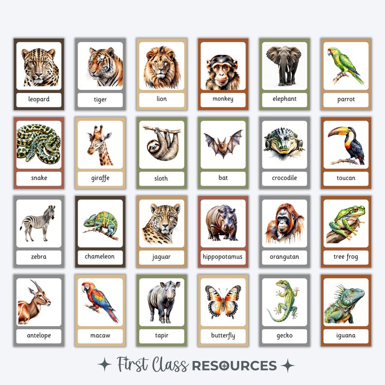 Jungle Animals Flashcards, Safari Animal Learning Cards, Preschool ...