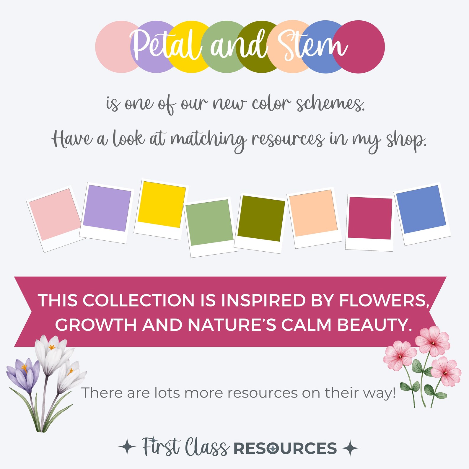 Birthday Display Classroom Decor, Birthday Board for Classroom ...