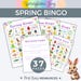 Kids Spring Bingo Cards, Spring Activity for Kids, Bingo Game Printable ...