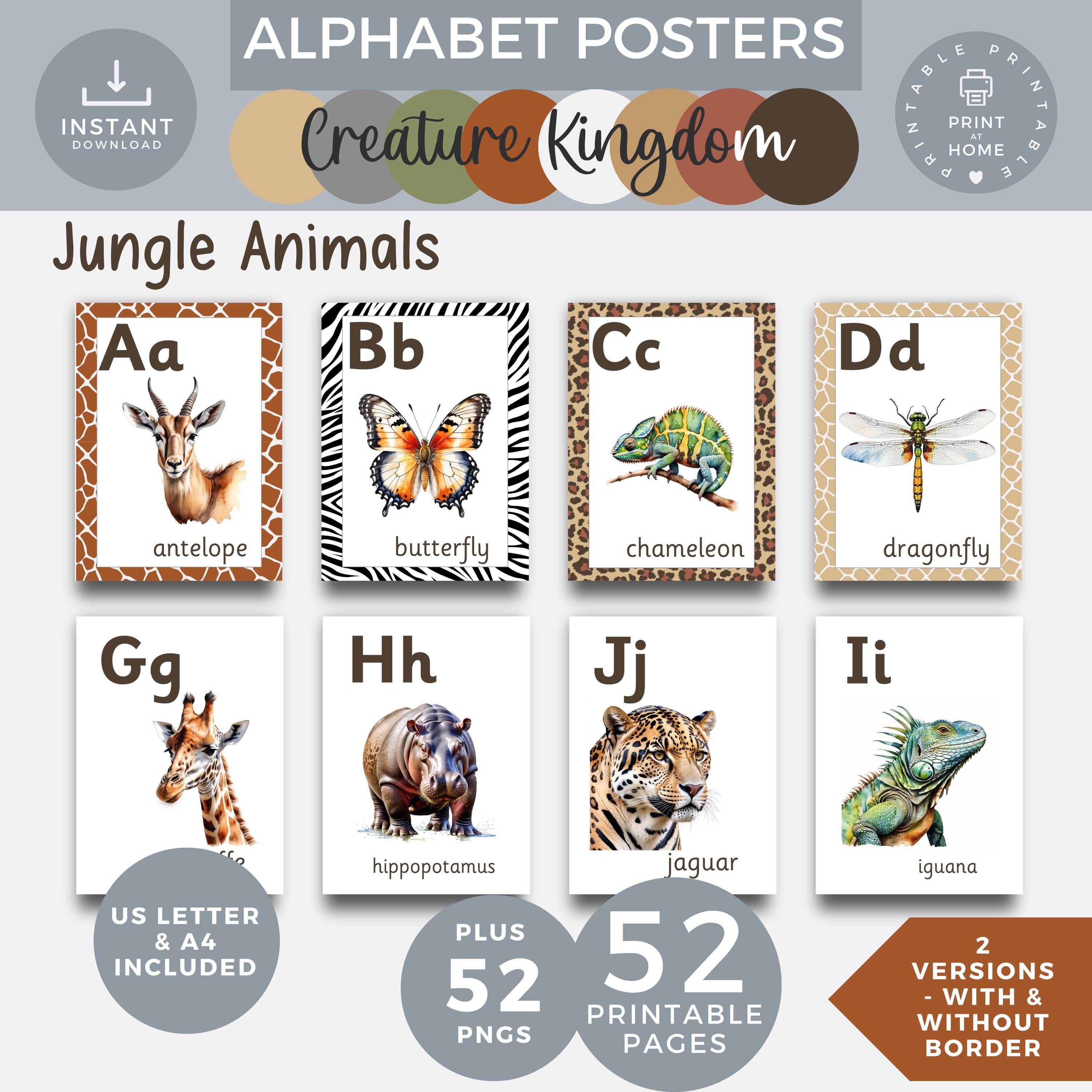 Jungle Animals Alphabet Posters, Animal Print & Plain Versions, A-Z ...
