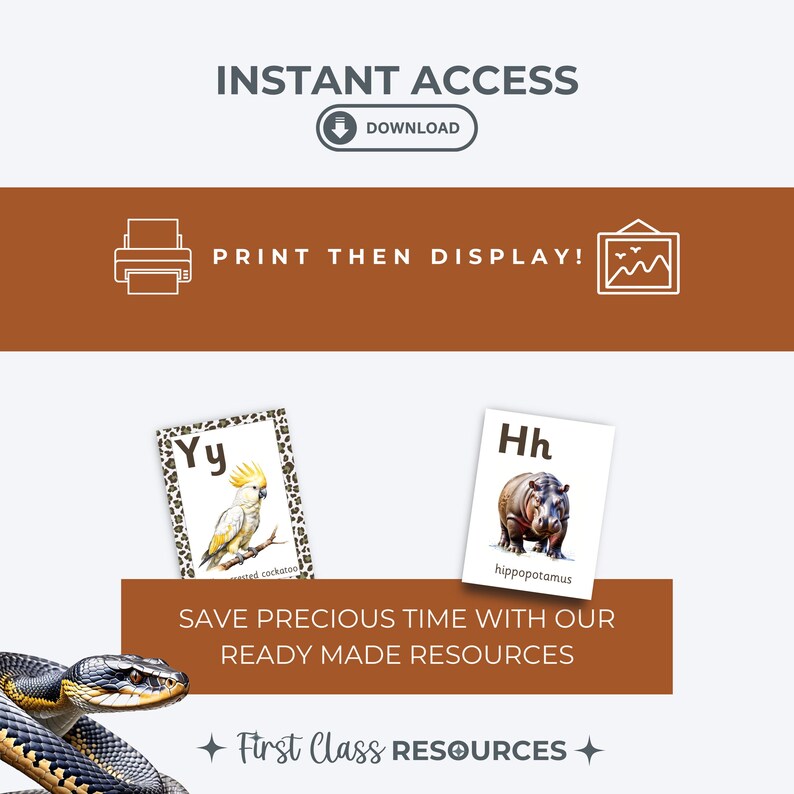 Jungle Animals Alphabet Posters, Animal Print & Plain Versions, A-Z ...