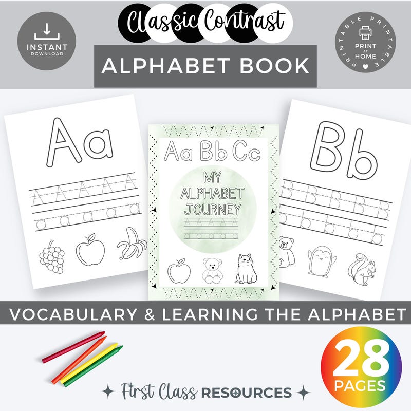 Letters and Sounds Workbook - Etsy