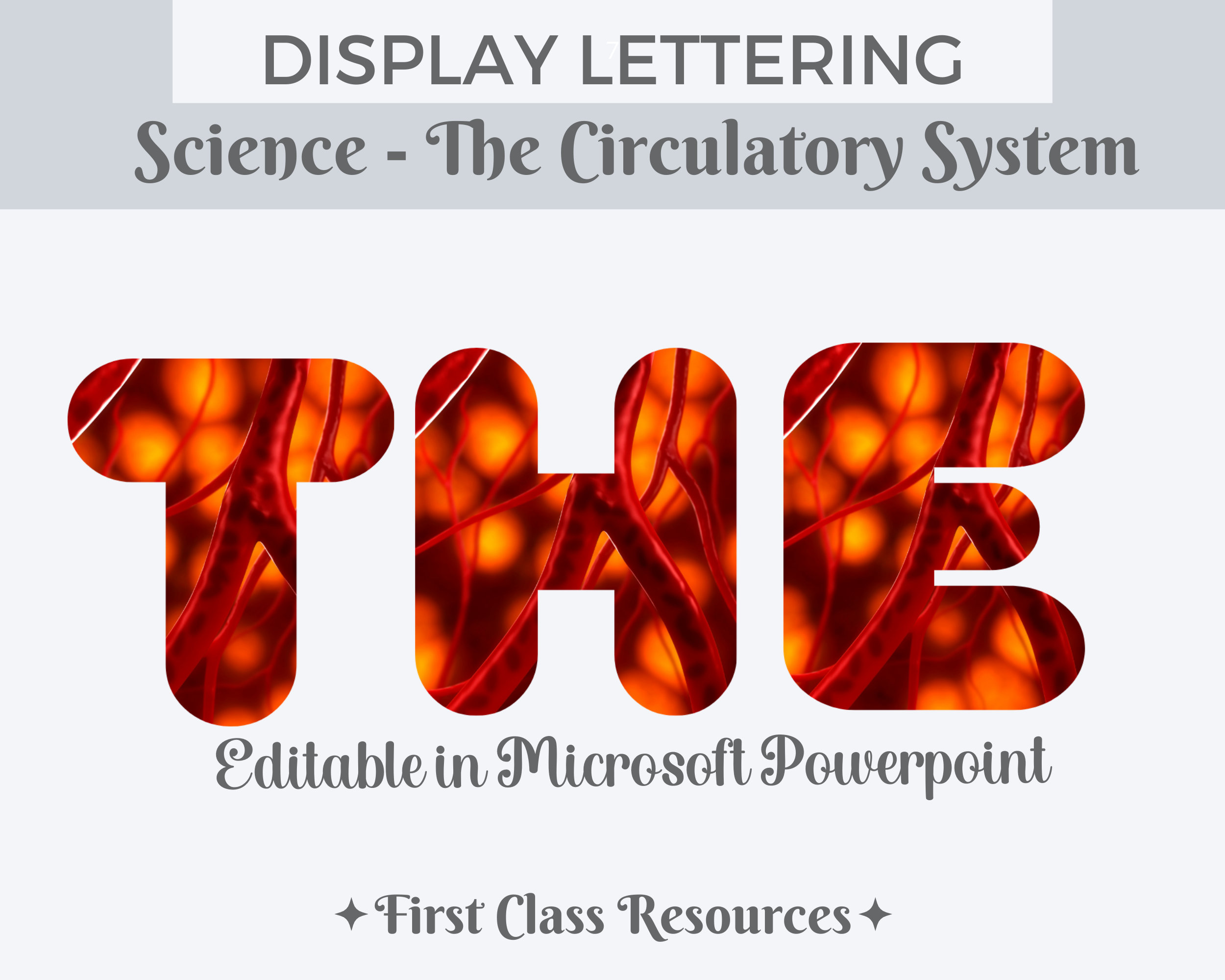 Circulatory System Classroom Display Lettering, Classroom Decor ...