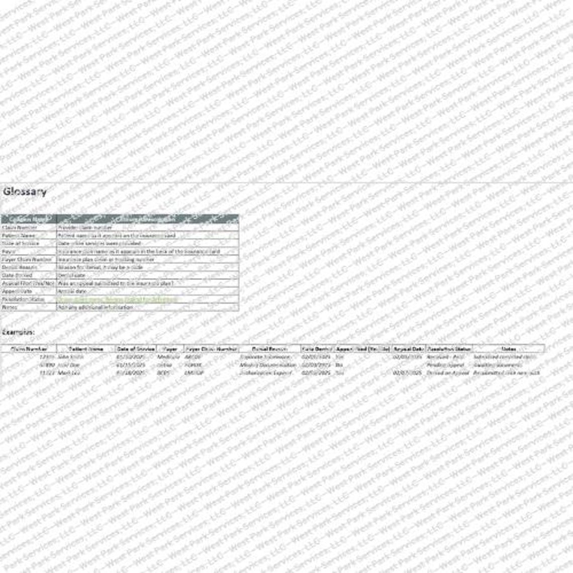 Denial Management Log for Medical Billers - Track & Resolve Claims With ...