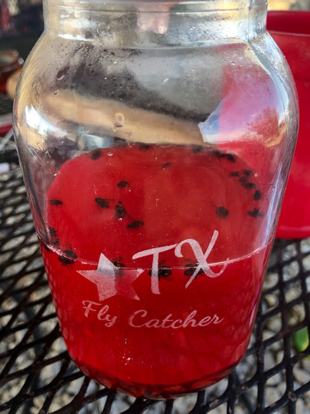 Fruit Fly Trap Catcher 2 Pack No Pesticides! Safe PET Plastic Jars! - Etsy