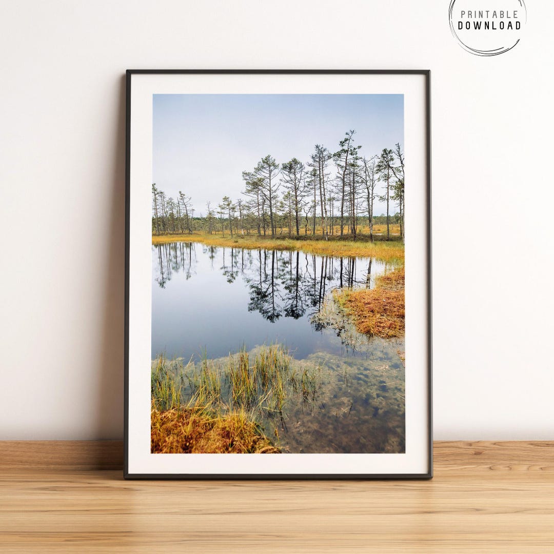 Viru Bog, Estonia Printable Wall Art, Lahemaa National Park, Estonian ...
