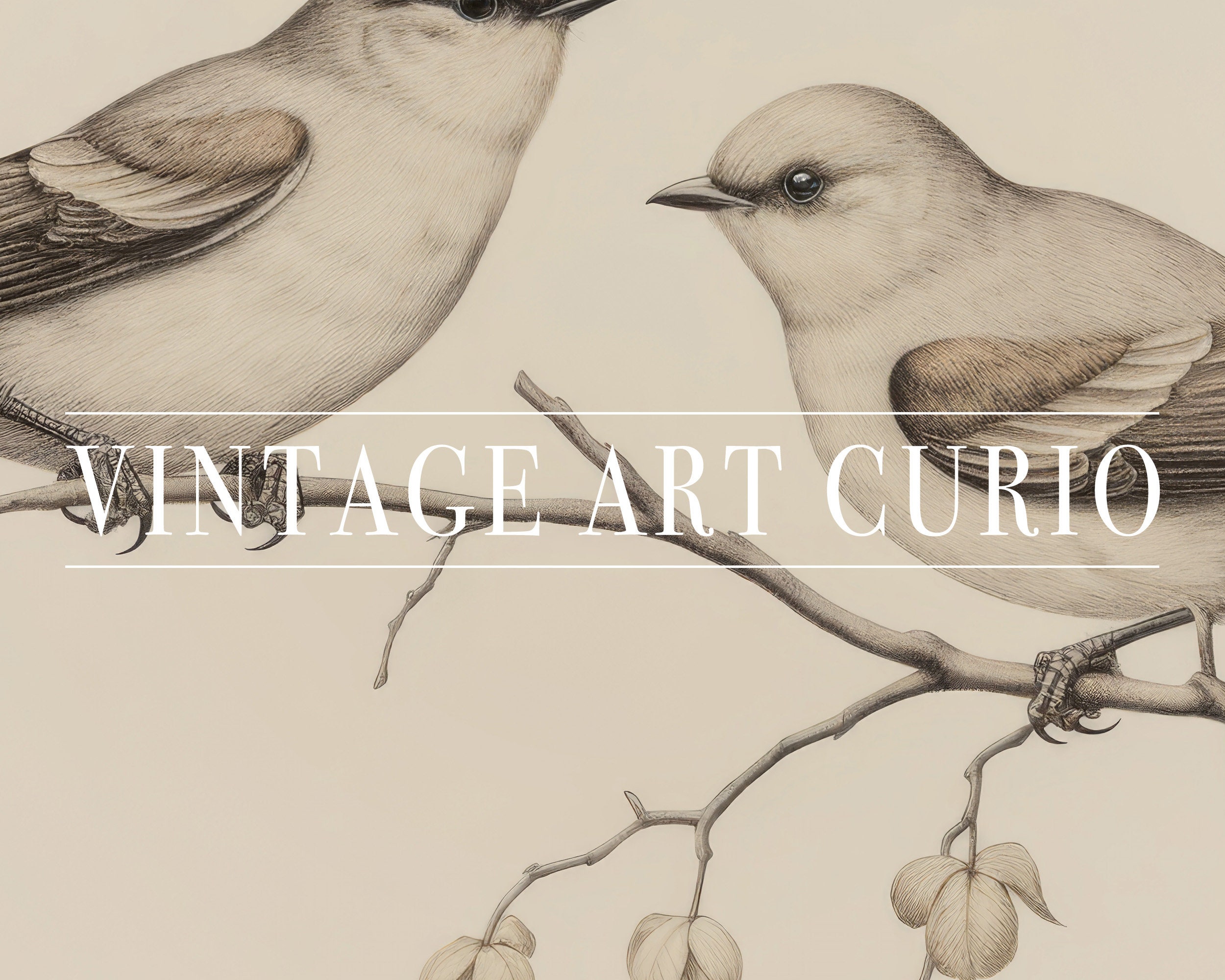 Vintage Bird Sketch Art Rustic Aviary Print Vintage Neutral Bird ...