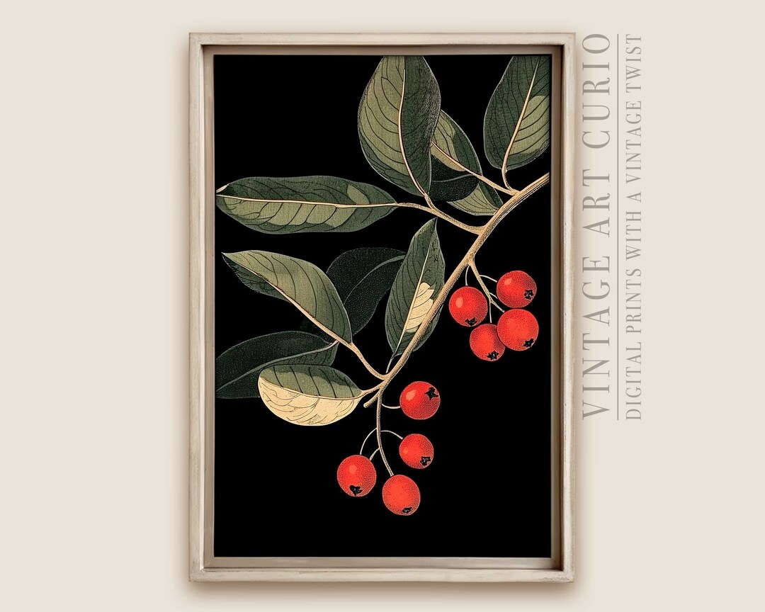 Elegant Holly Botanical Print for Christmas Red Berry and Green Leaves ...