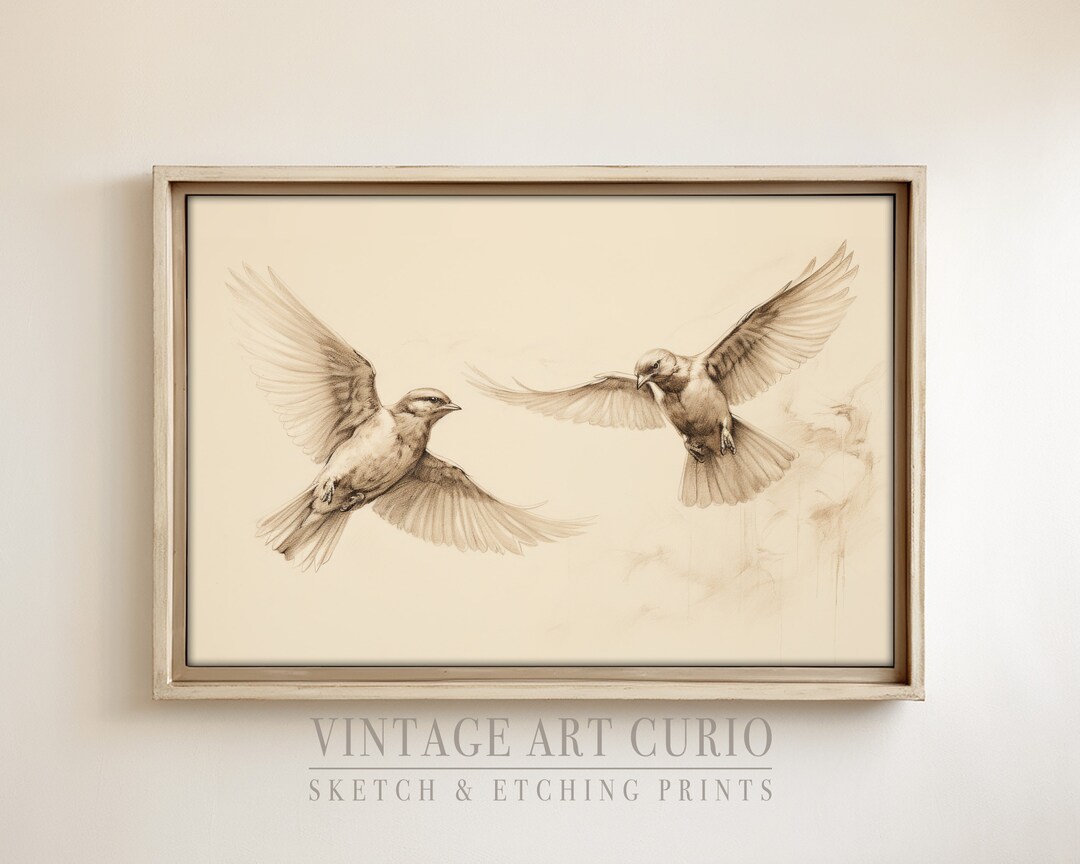 Vintage Bird XL Sketch Art, Rustic Aviary Print, Vintage Neutral Bird ...