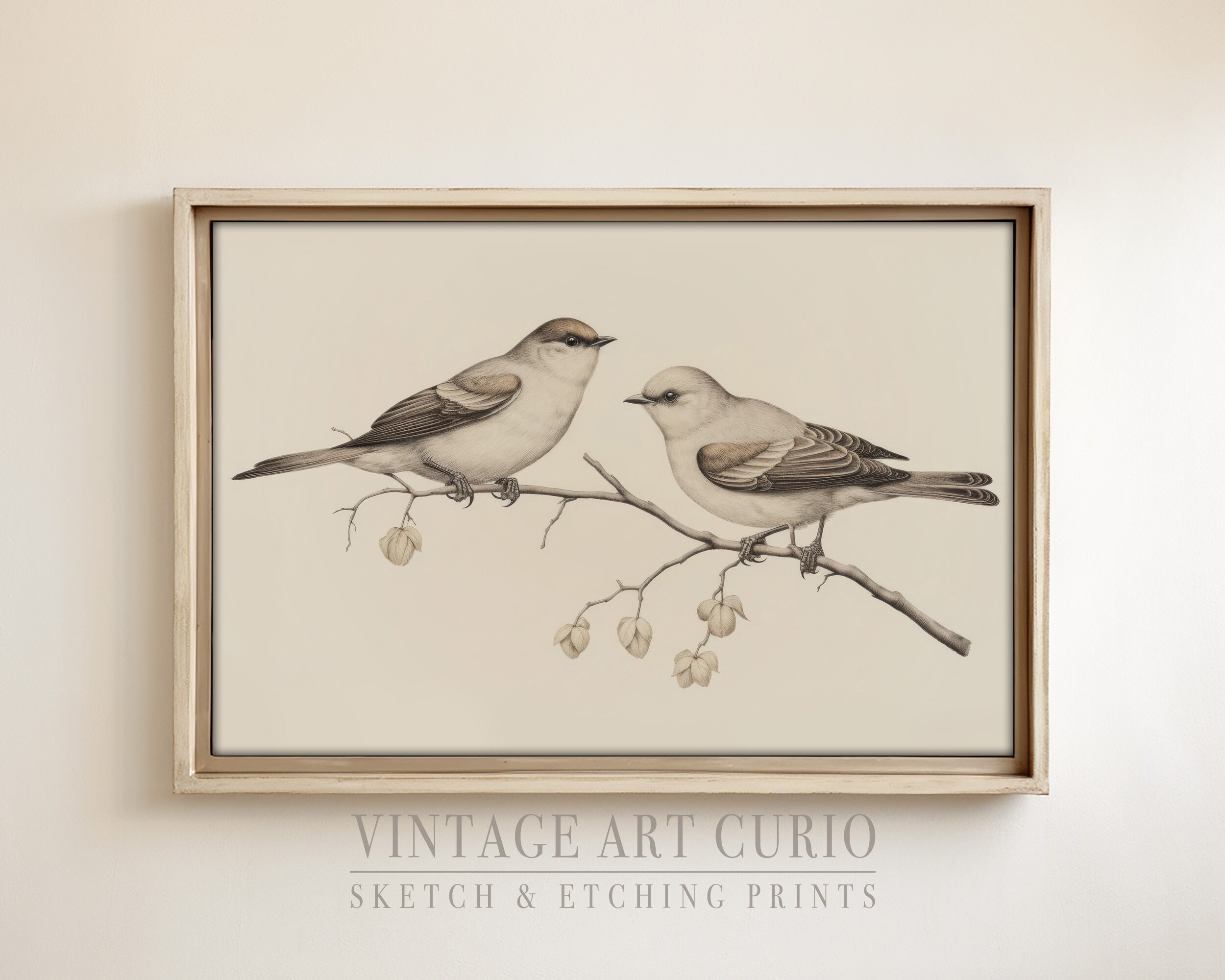 Vintage Bird Sketch Art Rustic Aviary Print Vintage Neutral Bird ...