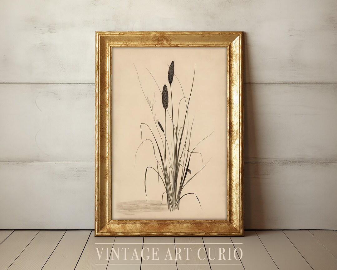 Antique Neutral Farmhouse Wall Print Decor Reeds Sketch Rustic Country ...