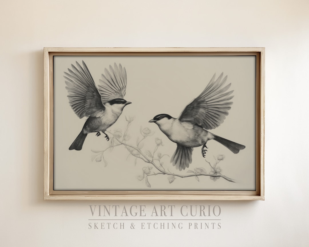 Vintage Bird XL Sketch Art, Rustic Aviary Print, Vintage Neutral Bird ...