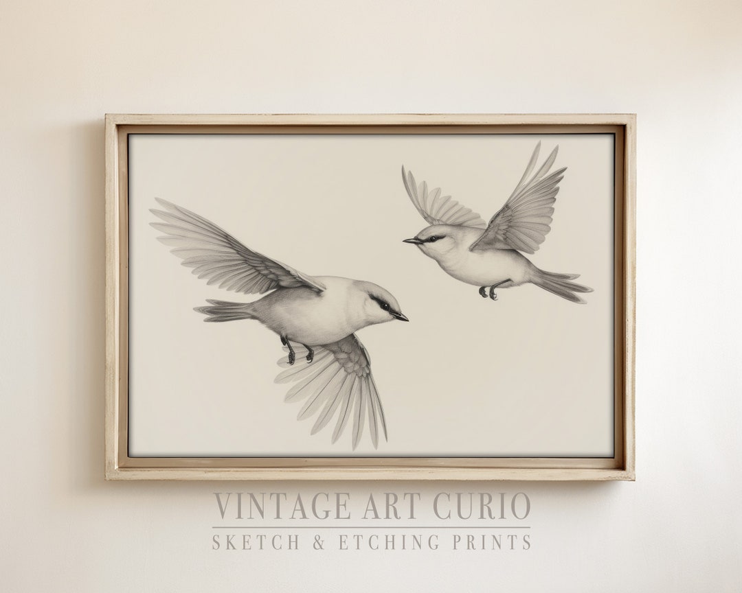 Vintage Bird XL Sketch Art, Rustic Aviary Print, Vintage Neutral Bird ...